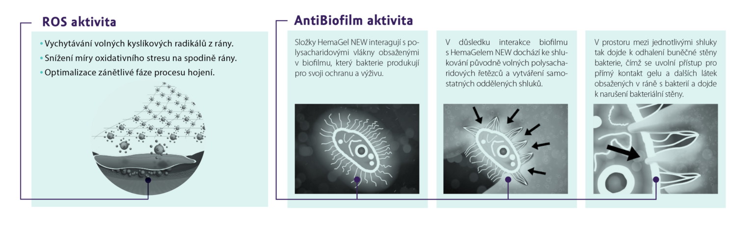 HemaGel NEW EN – Hemagel®